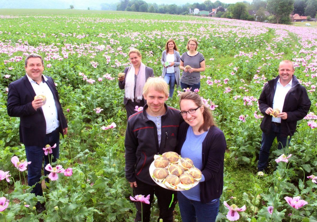 Im Kalletal, da blüht der Mohn - Nordlippischer Anzeiger